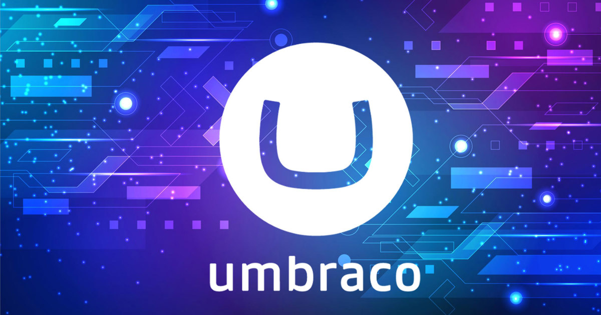 Why you should consider Umbraco for your next website project in 2025 | Terabyte